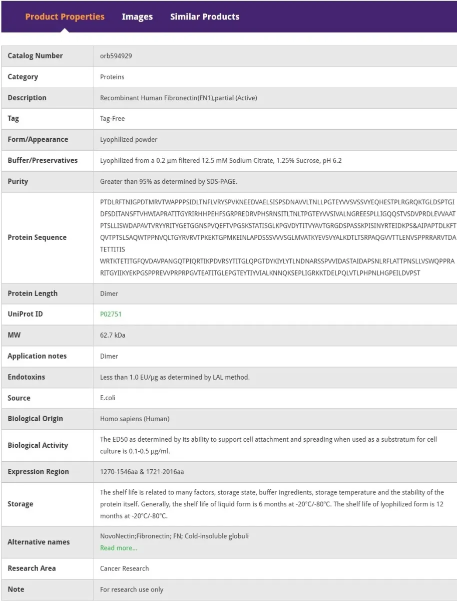 纤连蛋白(Fibronectin)研究全解读：从结构功能到组织工程与疾病治疗新突破 | Biorbyt